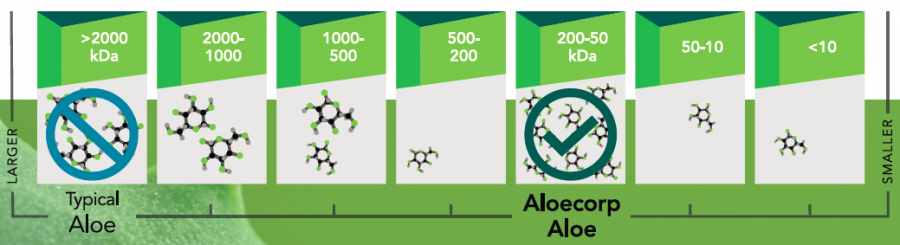 Our Unique Aloe Vera Production Process - Aloecorp